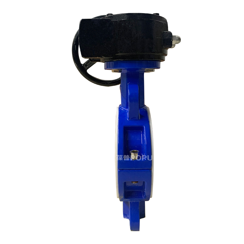 D371F4-10/16C全衬氟对夹蝶阀-浙江葆普阀门制造有限公司官网